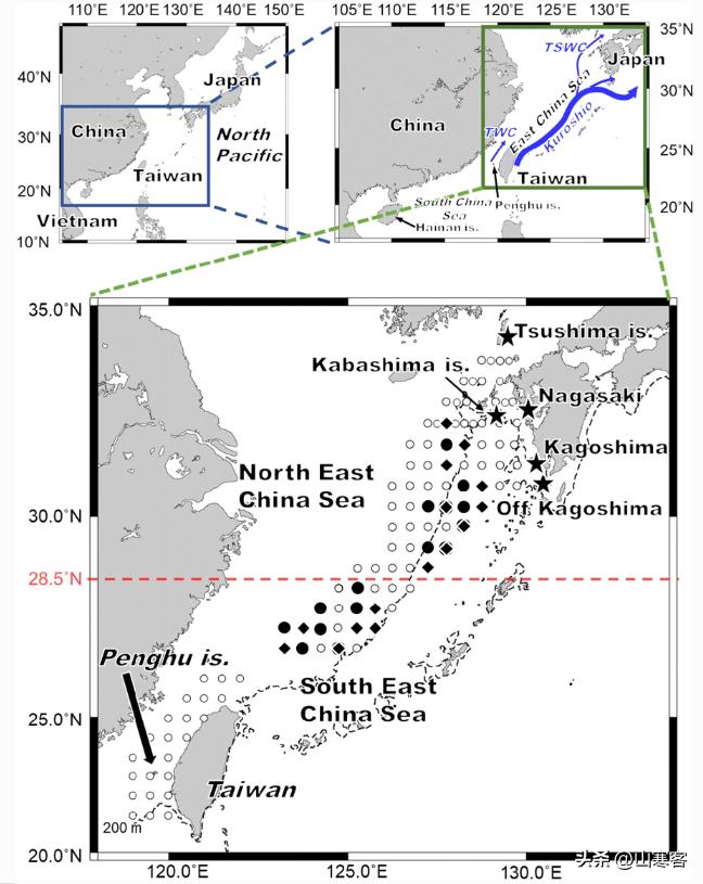 Distribution and Genetic Variation of Yellowtail in the East China Sea ...
