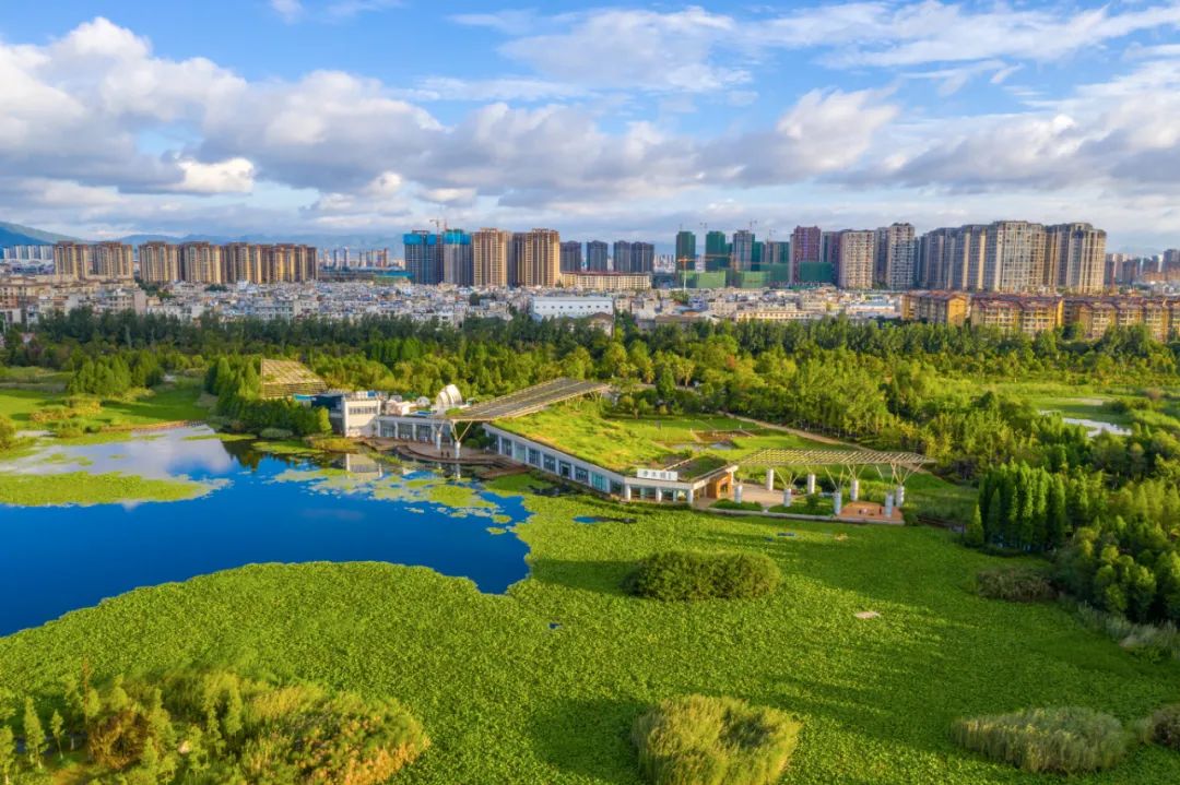 "There is a life called Yunnan"┃Kunming, Yunnan; white fish grow bamboo ...
