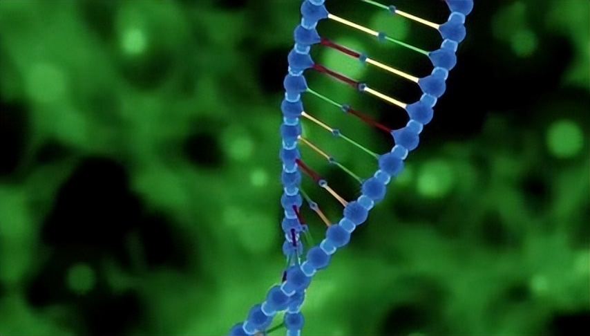 Why was Fudan's Chinese gene map published in foreign magazines? - iMedia