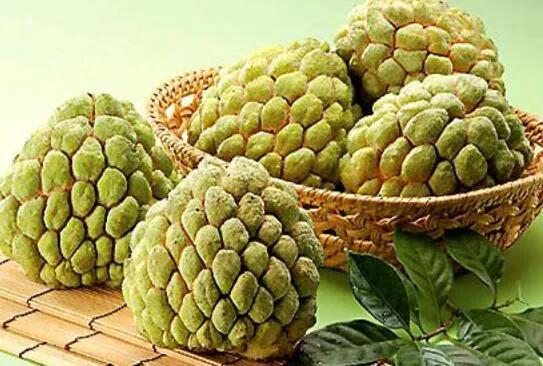 How to eat Sakyamuni, the correct way to eat Sakyamuni - iNEWS
