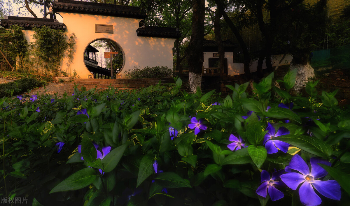 The Three Treasures of Yufeng: The Legend of Kunshi, Qionghua and ...