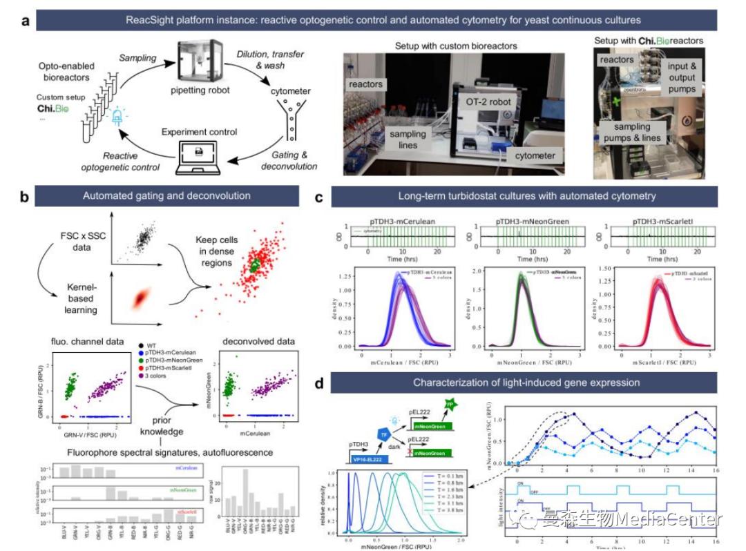 Using ReacSight to Enhance Bioreactor Arrays for Automated Measurement and Reaction Control ...