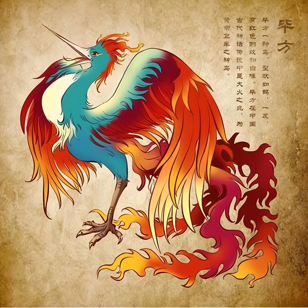 One of the ancient mythical beasts - Bi Fangniao - iNEWS