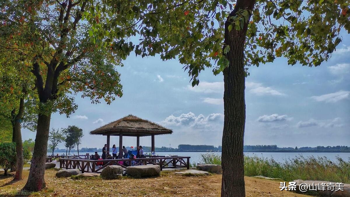 Xiang Yu, who is good at fighting, was defeated in a mess in the last ...