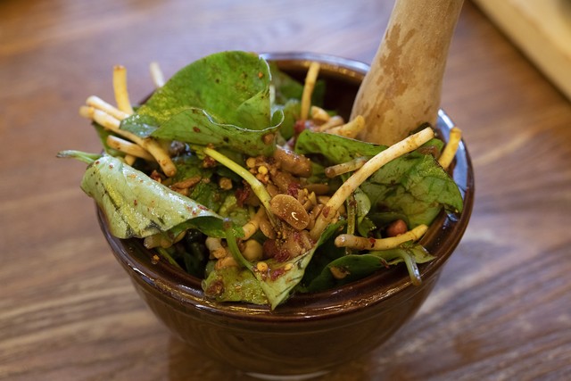 Edible Wild Vegetables - Zheergen - iMedia