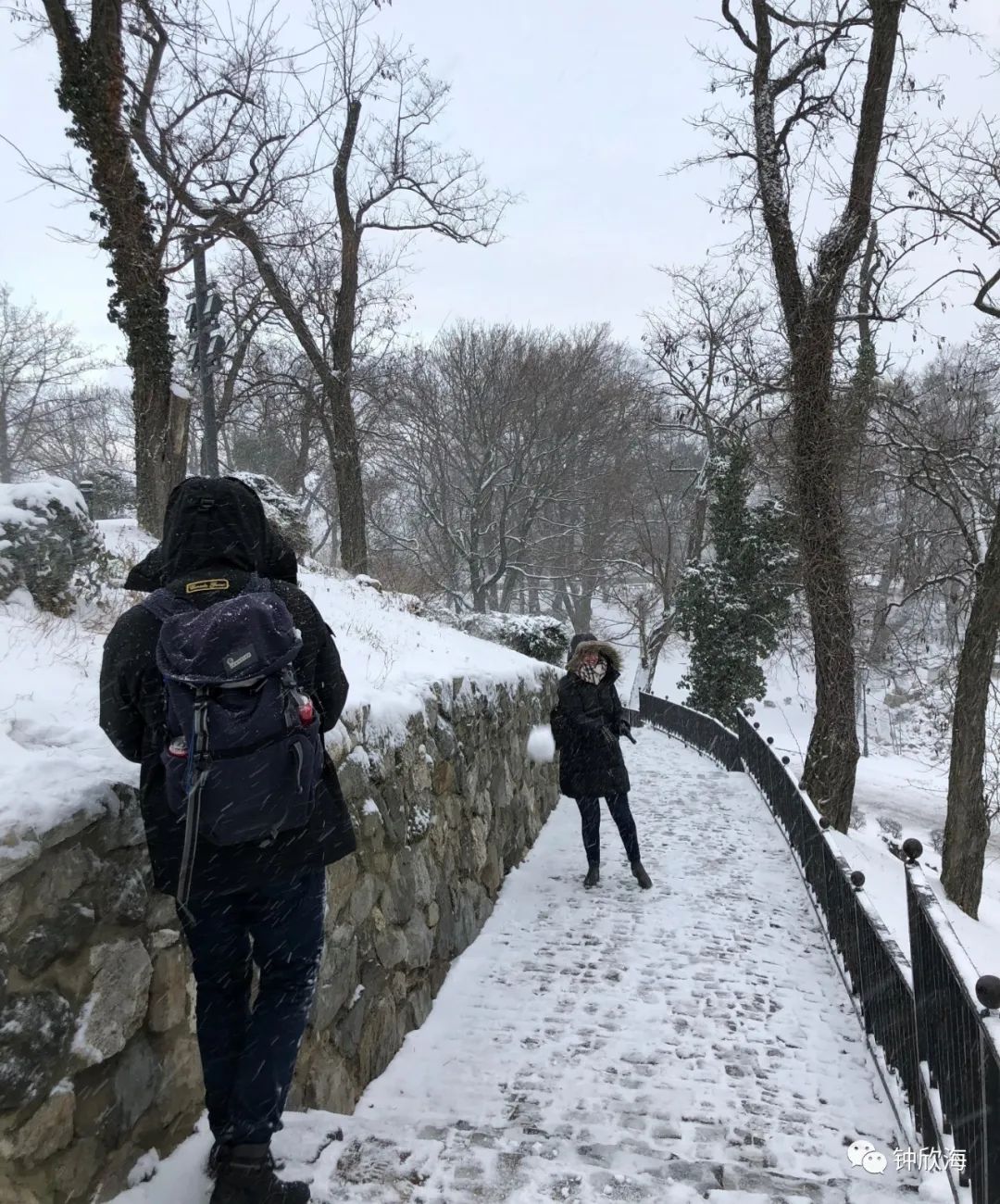 Beautiful winter in Bratislava, the capital of Slovakia - iMedia