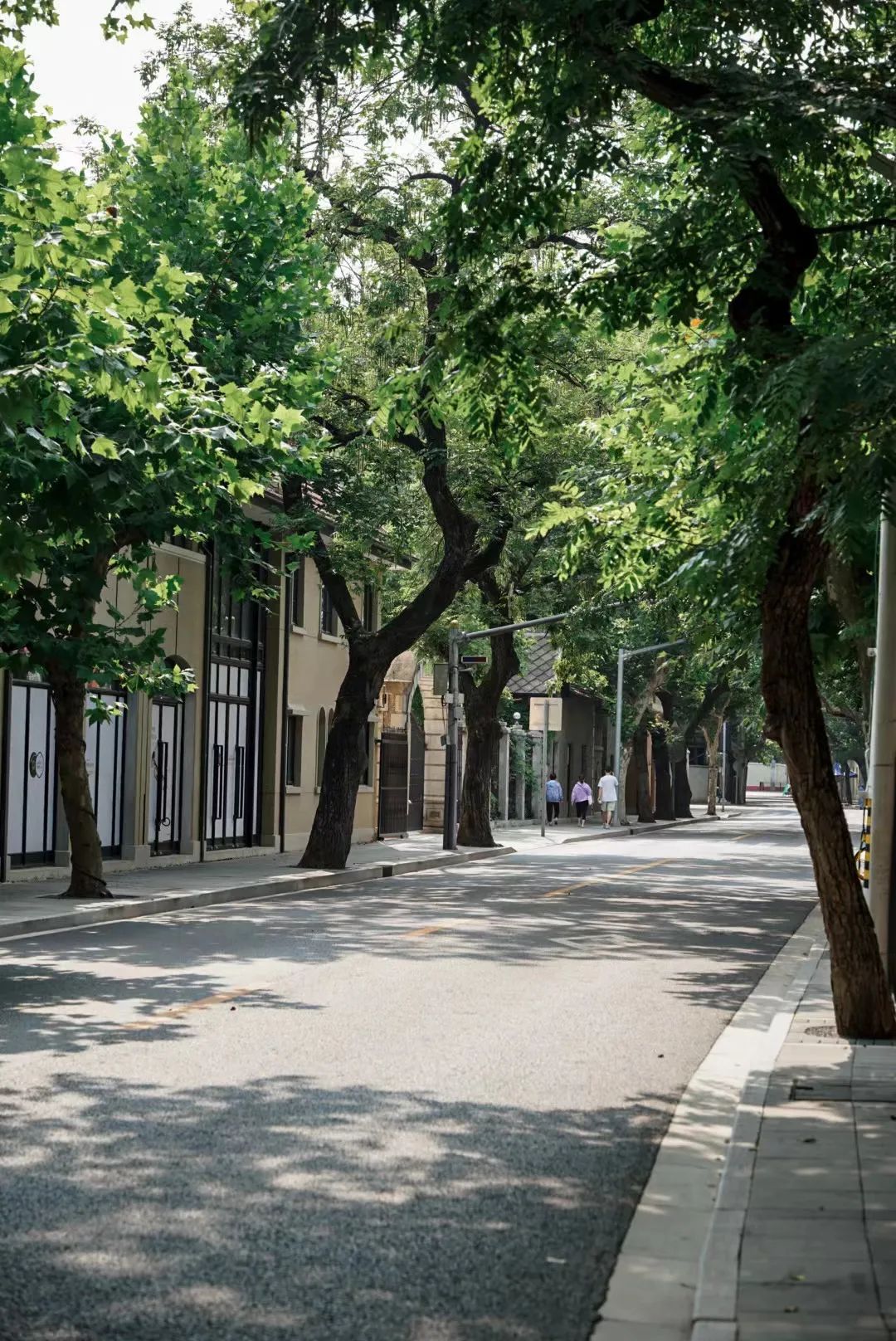 Aesop's first store in mainland China is located on Dongping Road ...