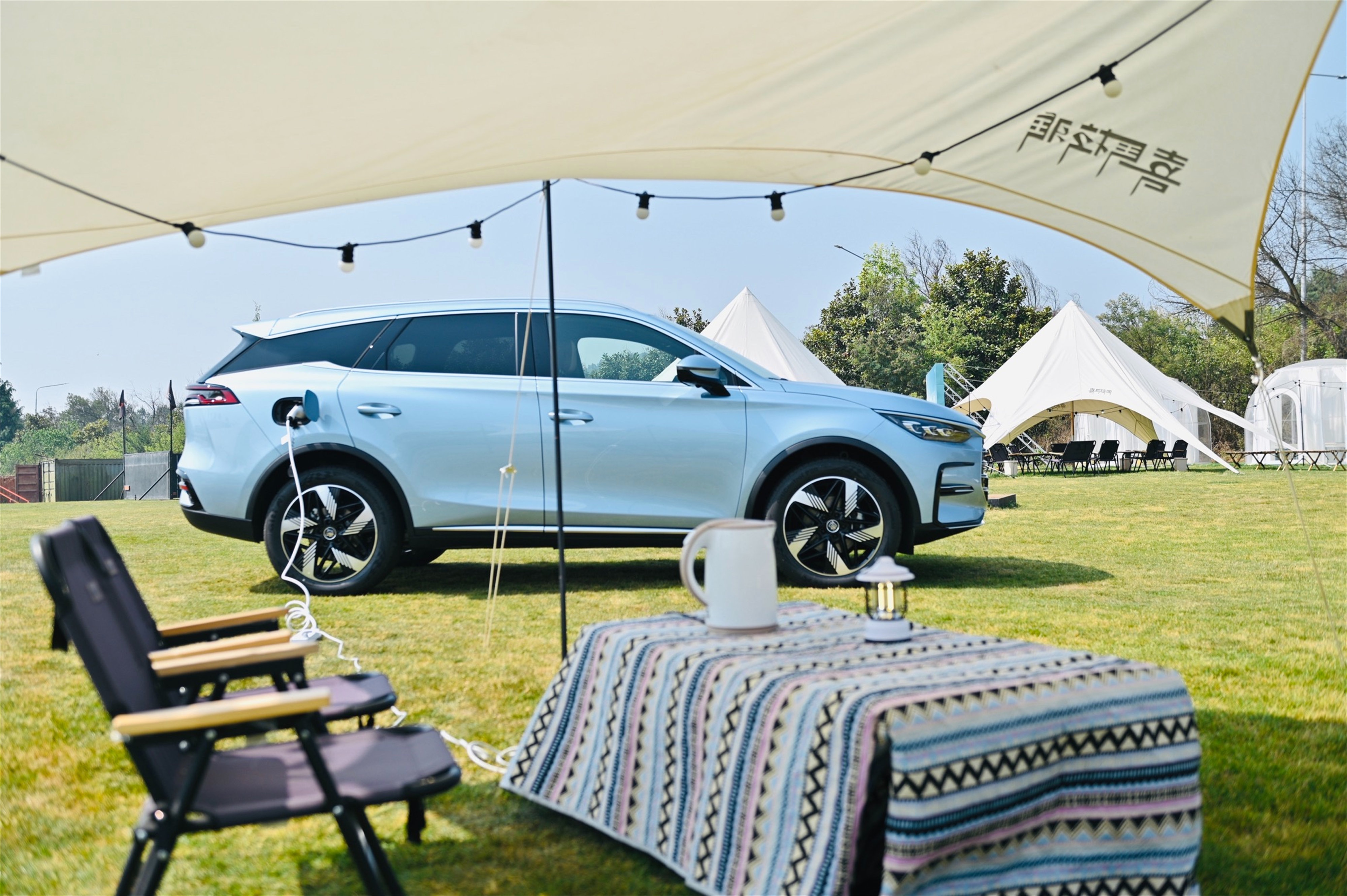 The Tang family shines in the magic city and becomes the "top star" at ...