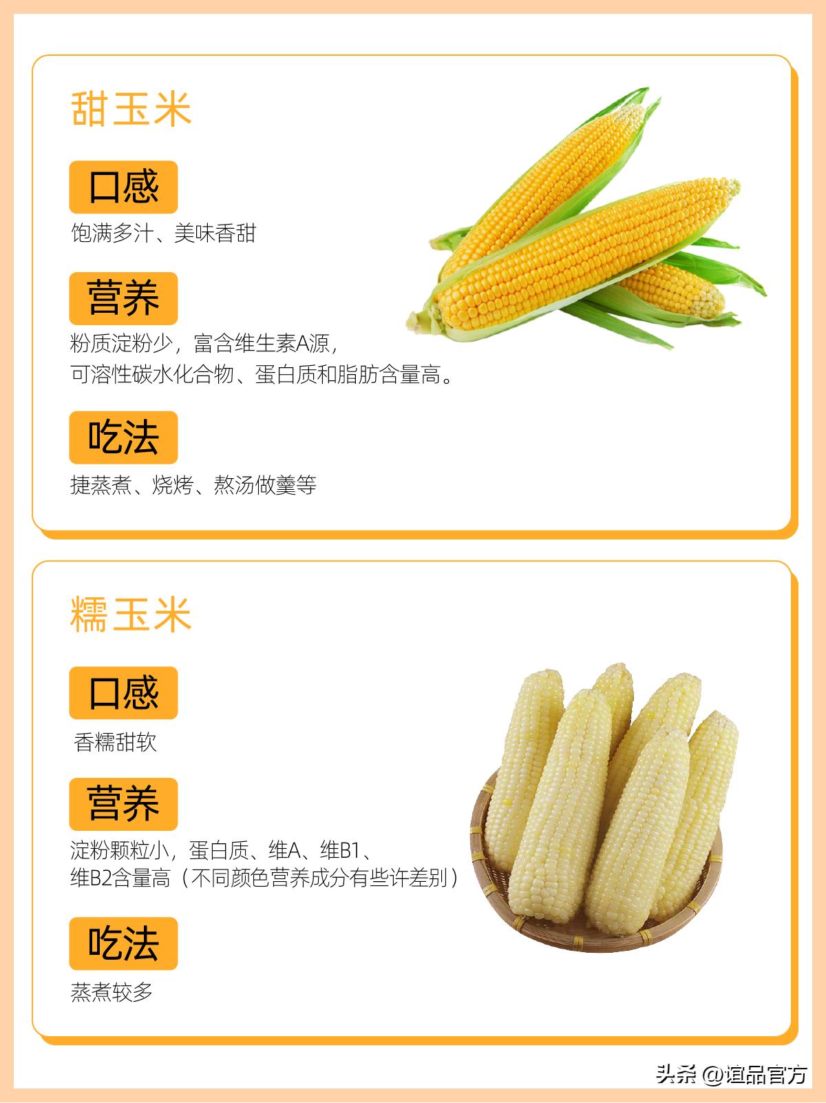 Common types and characteristics of corn - iMedia