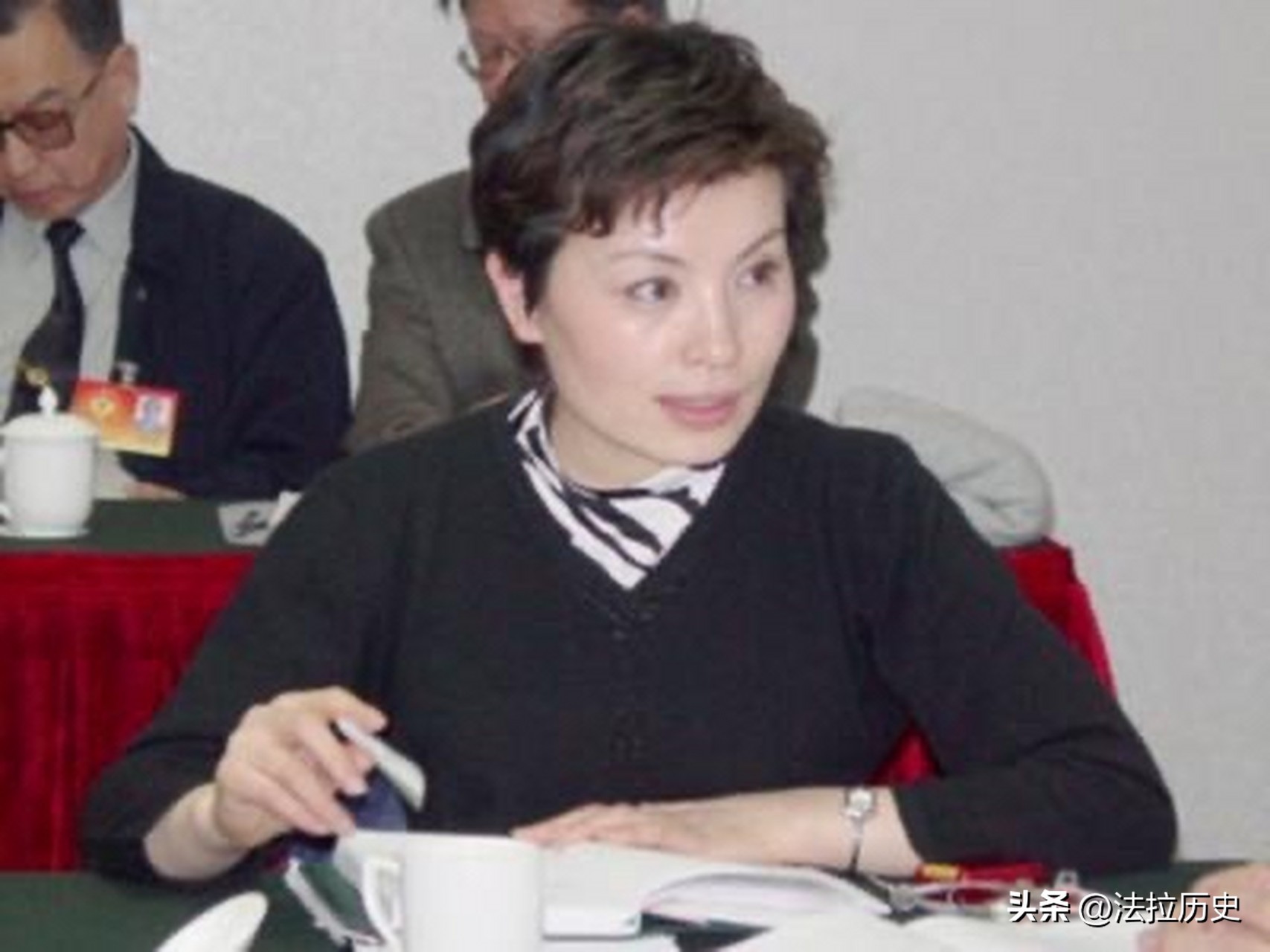 CCTV Li Ruiying: The host has made no mistakes in 28 years. After ...