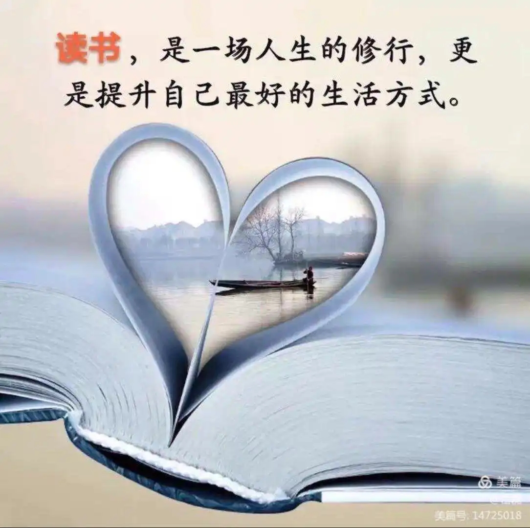 Cheng Bing: A Lucky Scholar - iMedia