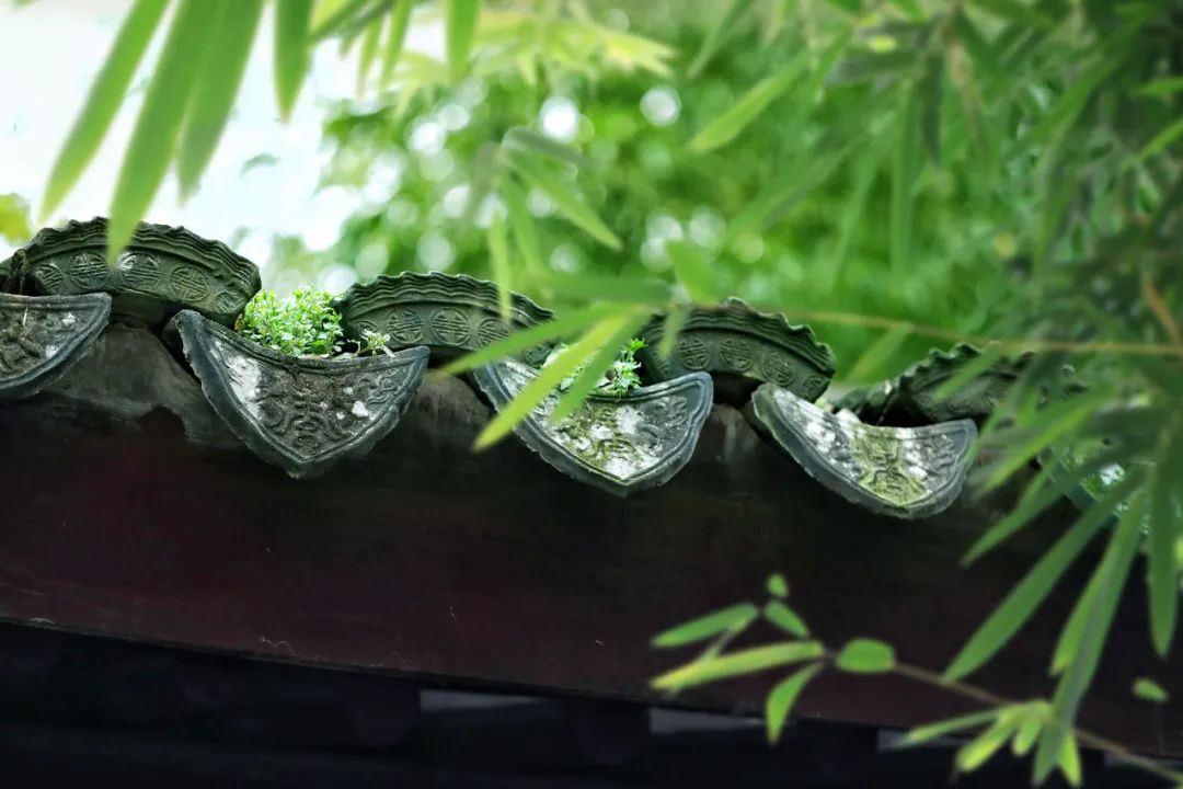 Appreciation 263 · · The most beautiful Zen poem in ancient and modern ...