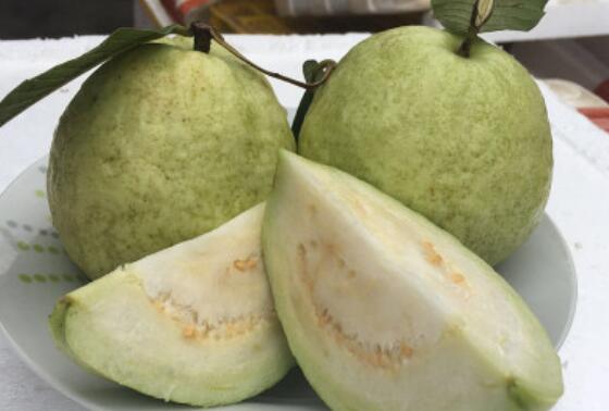 How to eat pearl guava, how to eat pearl guava - iNEWS