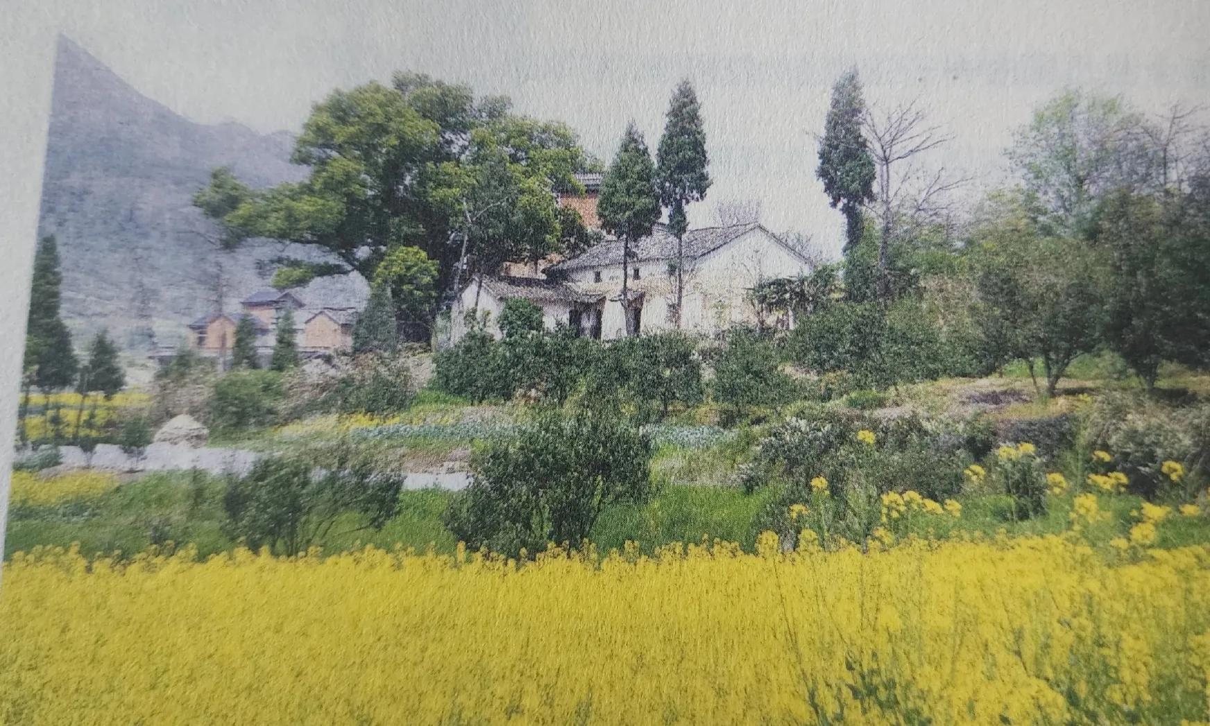 Xinye Village of the Disappearing Ancient Chinese Civilization - iNEWS