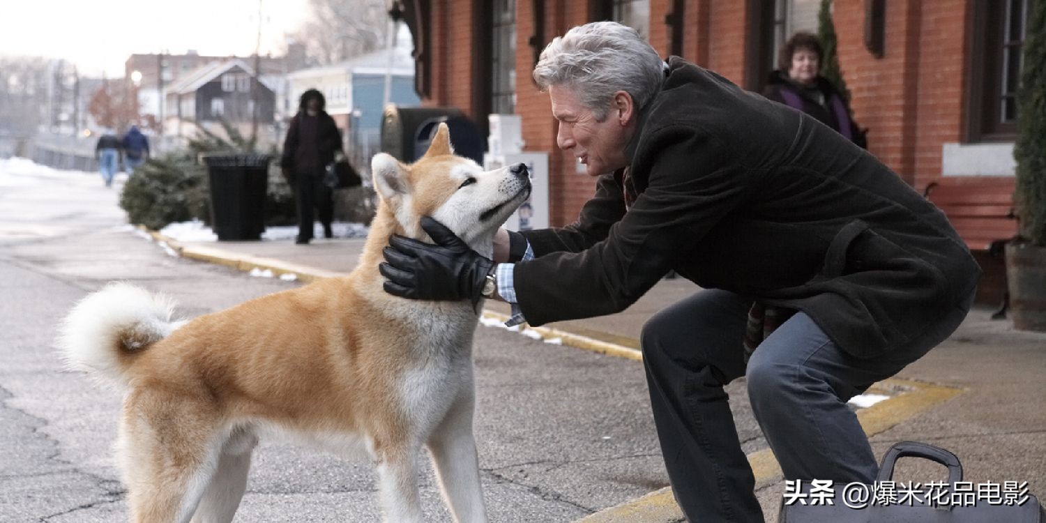 10 Sad Dog Movies That Will Make You Want to Hug Your Dog - iMedia
