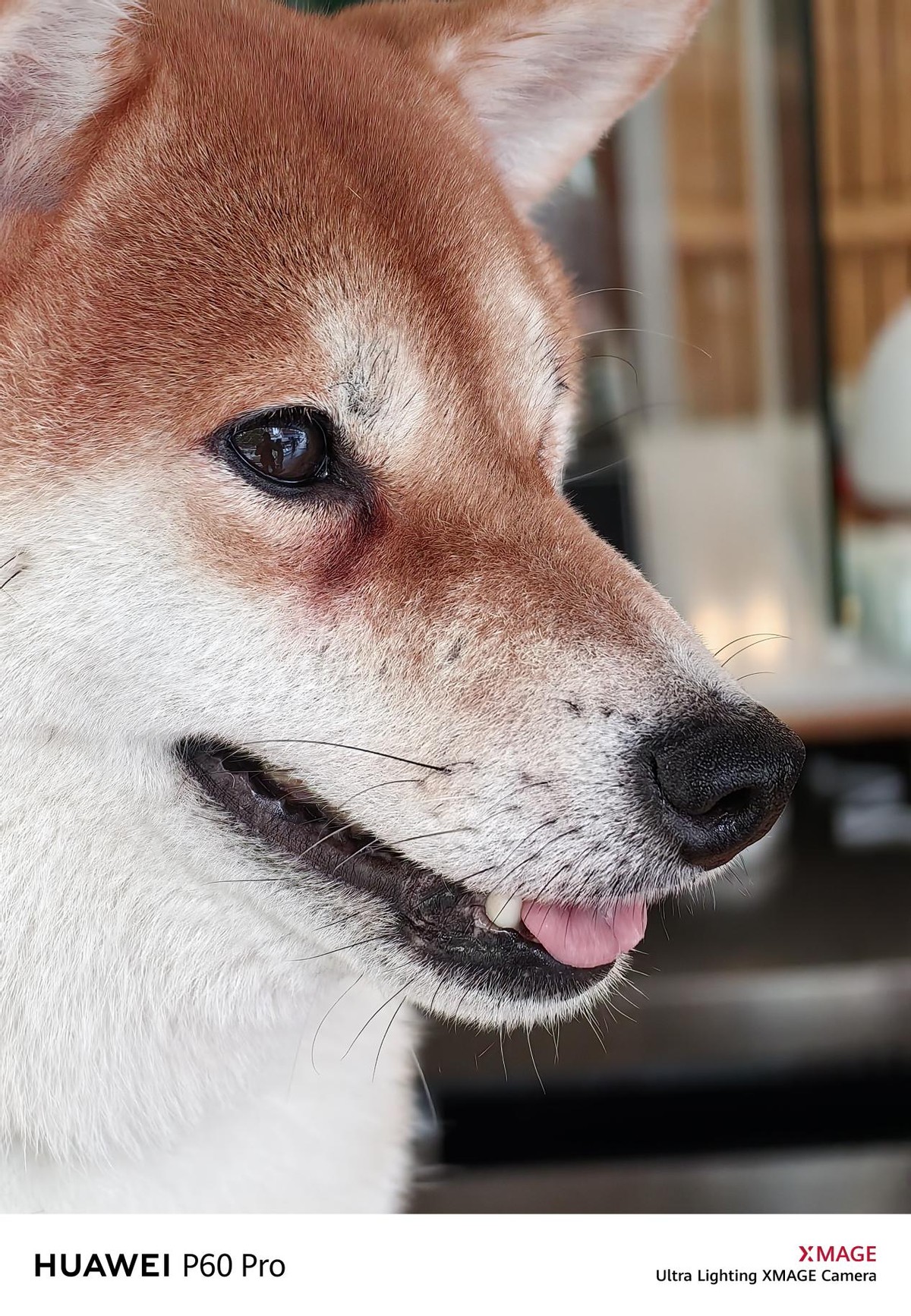 King of the moving image! Huawei P60 Pro telephoto lens breaks the ...