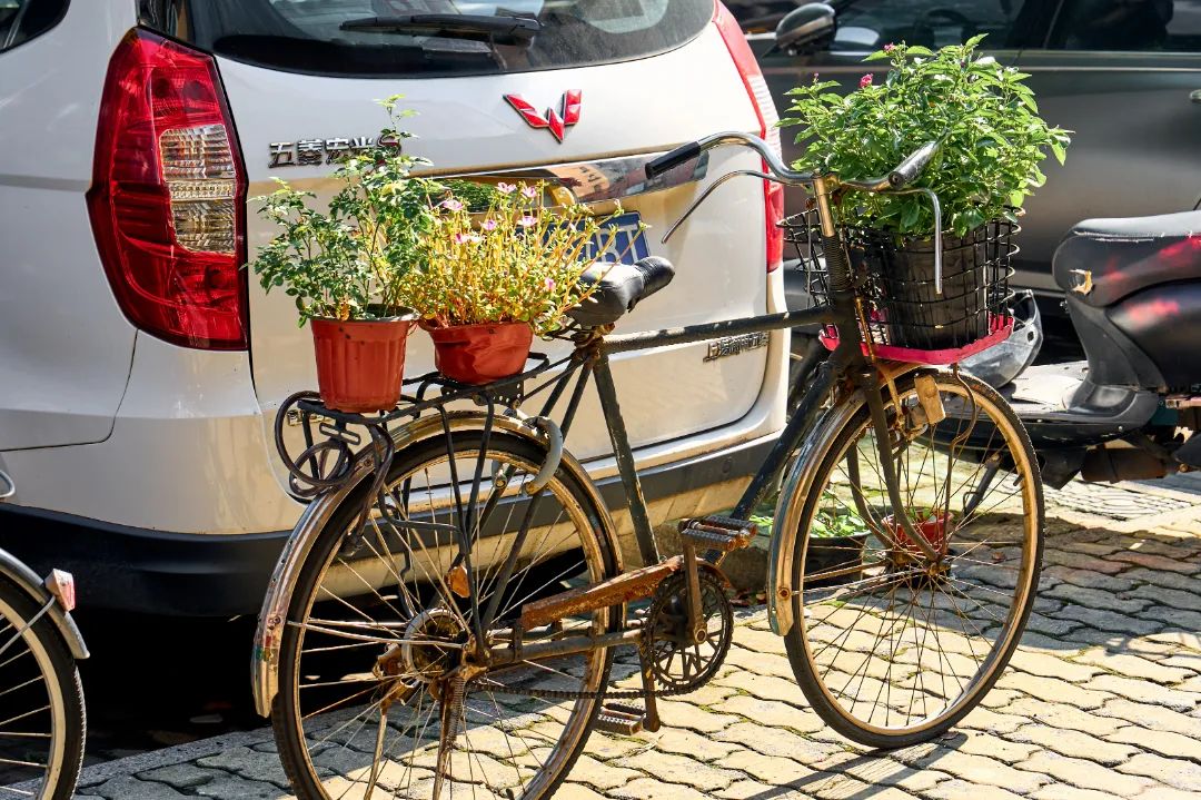 Huaxing Road may be the best street in Hangzhou, worth walking nine ...