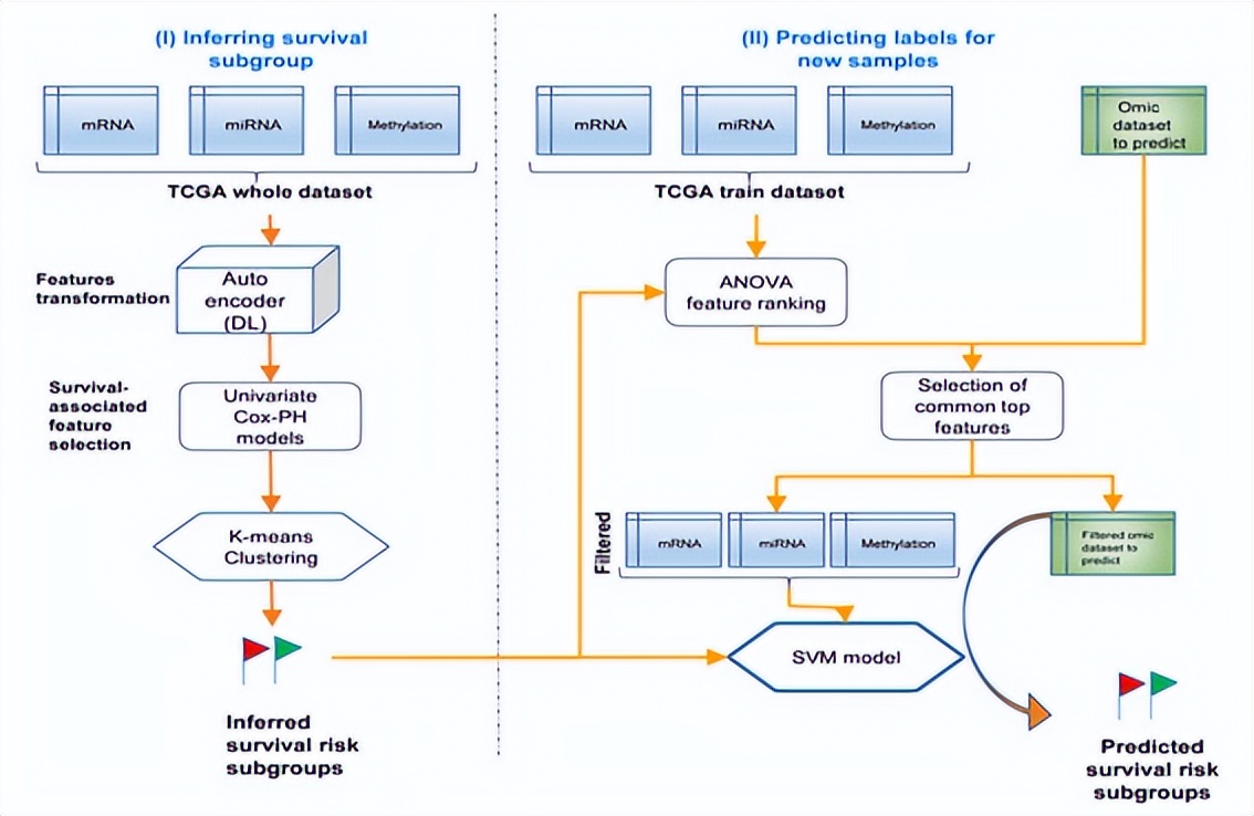 Take you to experience the charm of multi-omics fusion deep learning ...