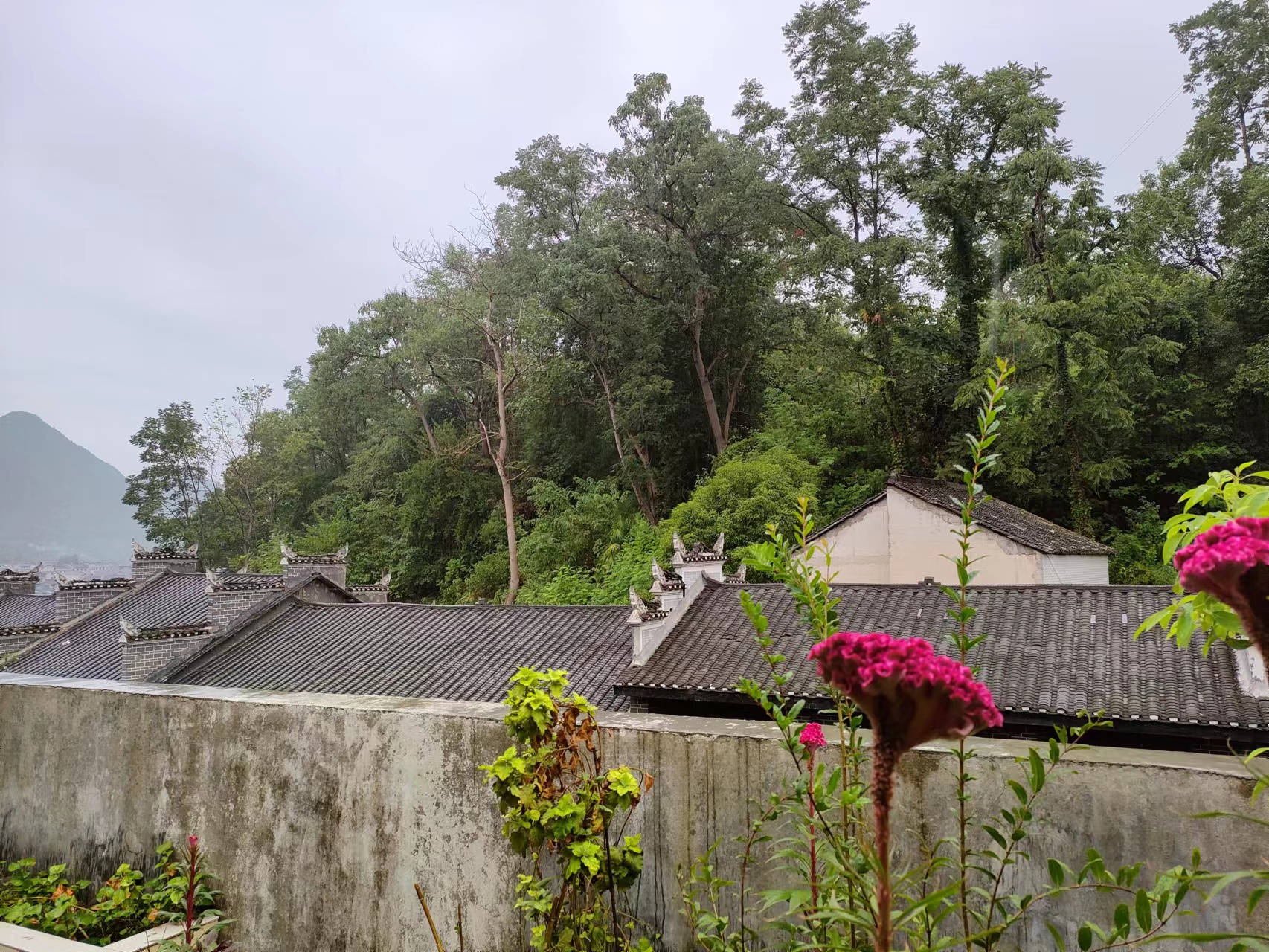 Seven unique autumn rains send congratulations - iNEWS