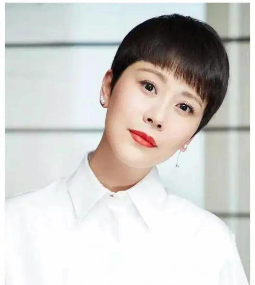 Why does Haiqing have no drama to film?The director said the reason ...