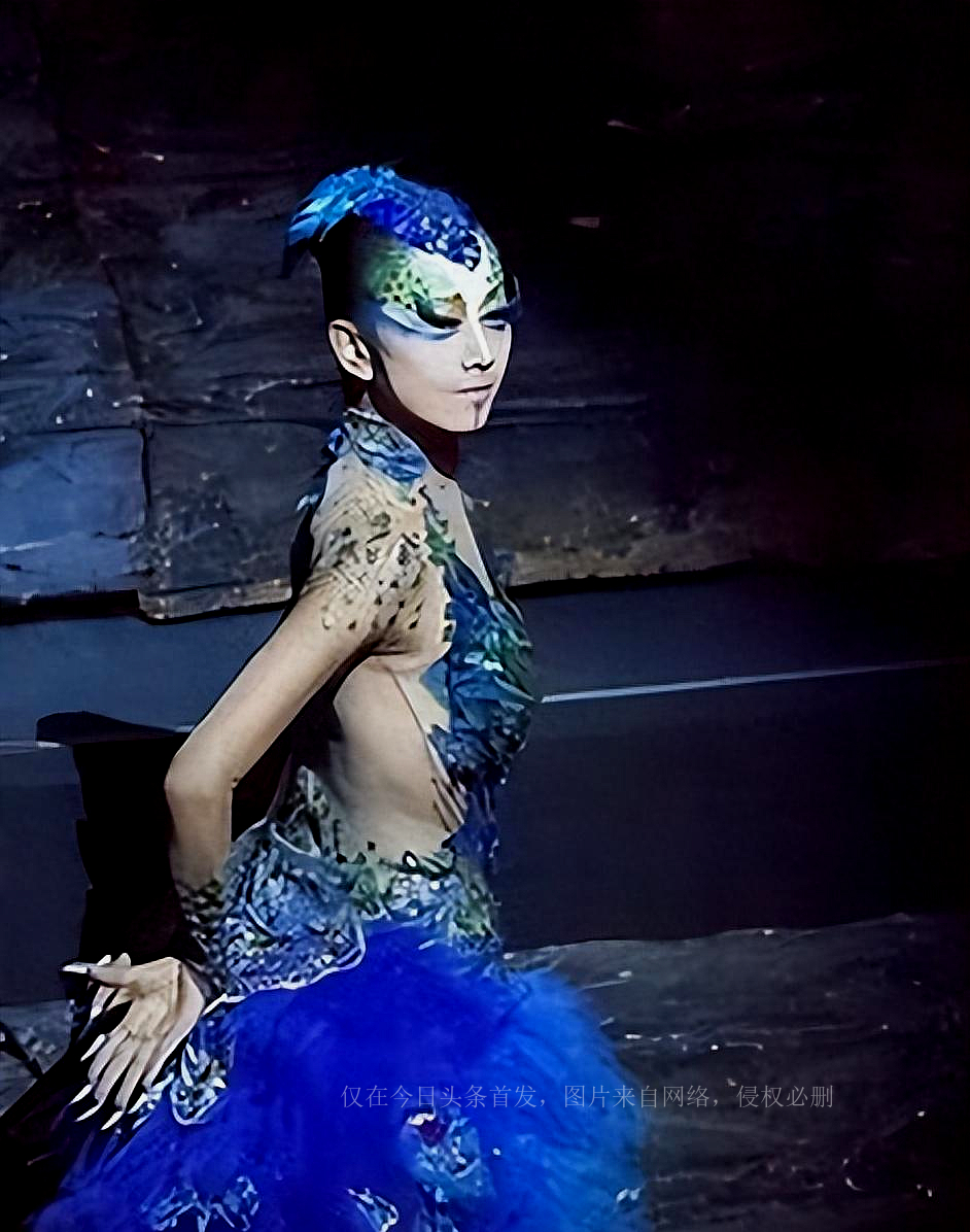 Dancer Yang Liping: Facts have proved that she has embarked on another ...