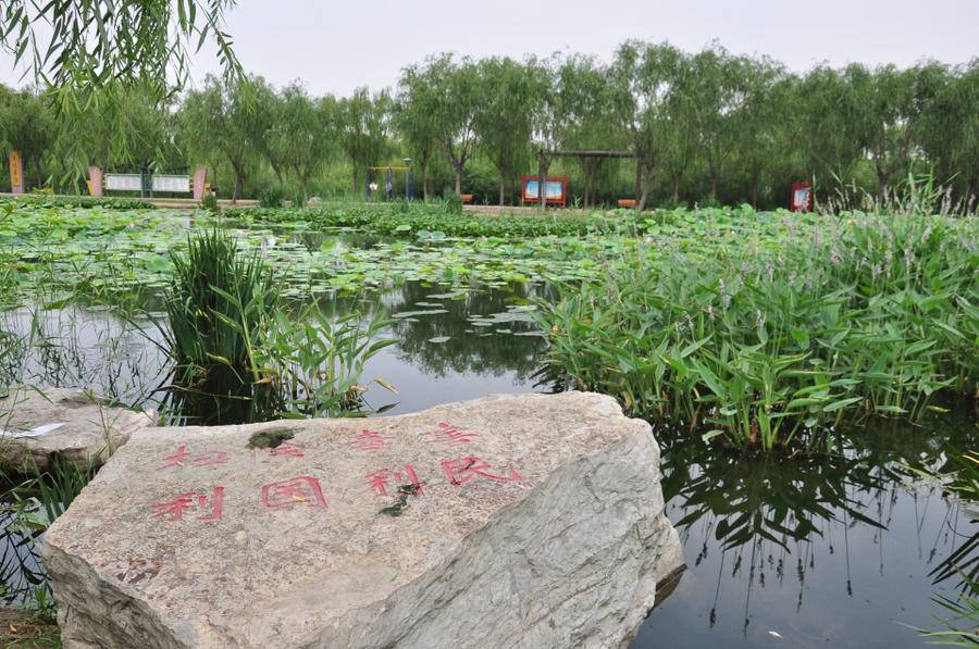 During the little summer, I took a group of green photos in the Tuhai ...