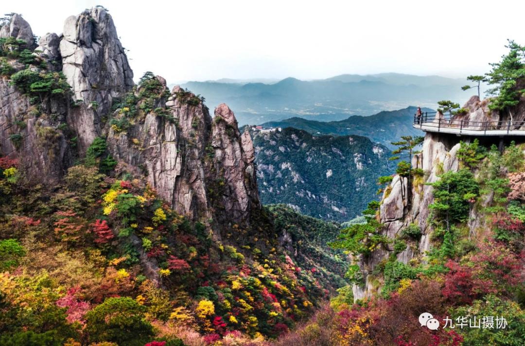 Spring arrives in Jiuhua - iNEWS