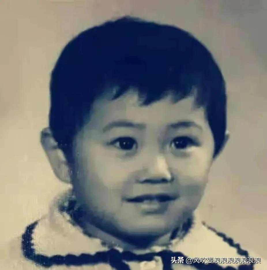 Sun Yue, an actor of Deyun Society, really raises elephants - iMedia