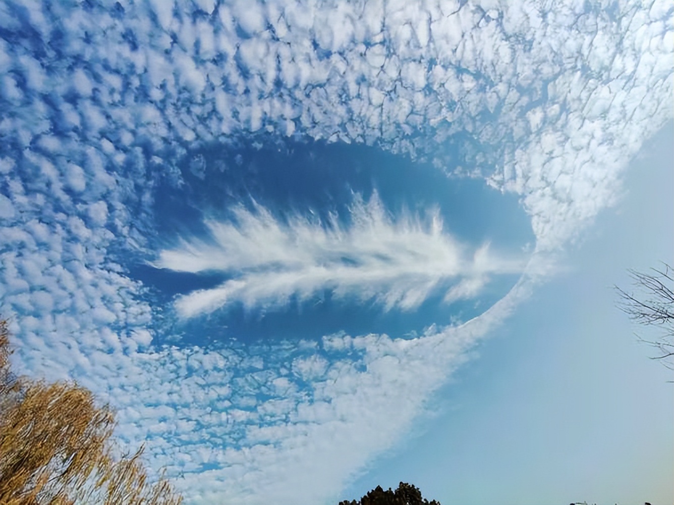 Do seismic clouds exist?A strange cloud appeared before the Sichuan ...