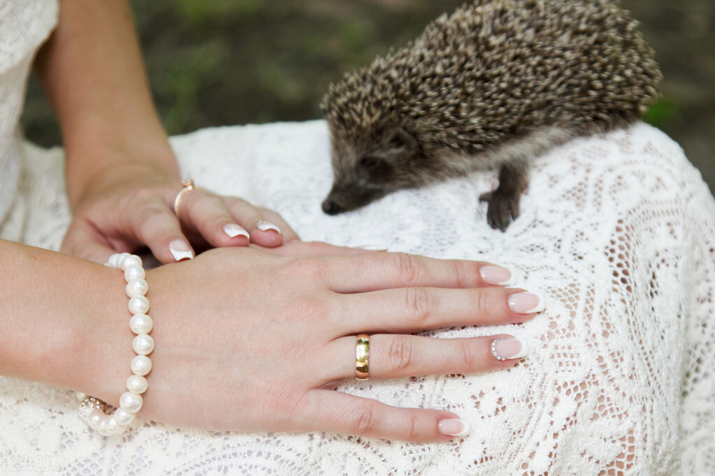 "The Elegance of the Hedgehog" Everyone has to embrace their own ...