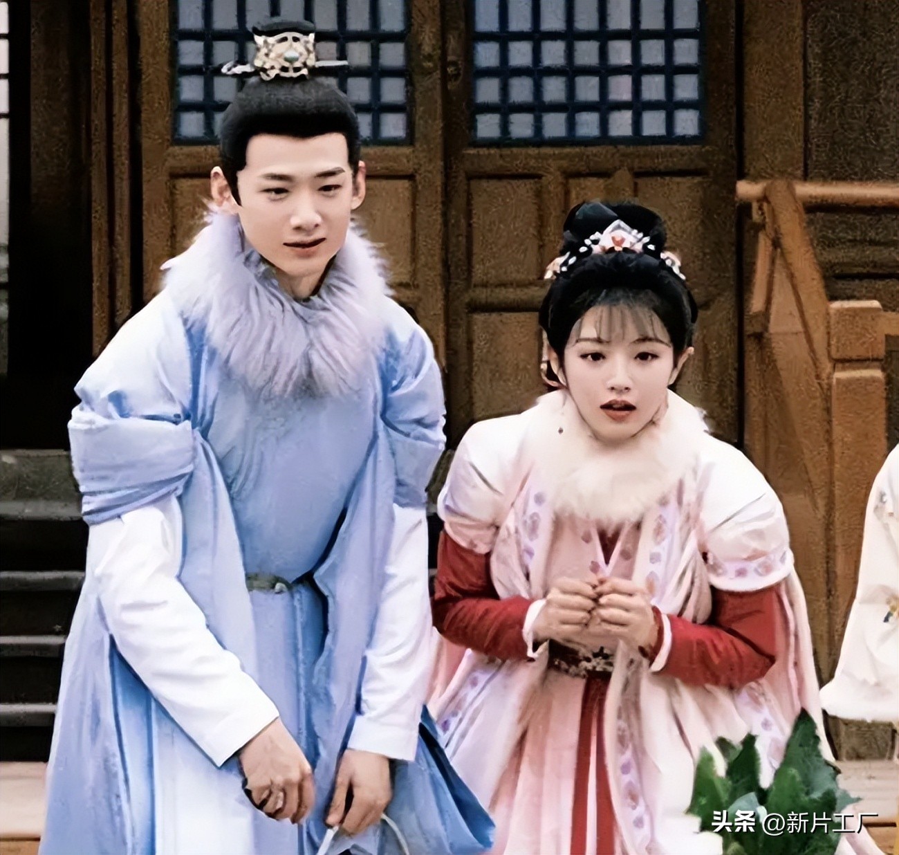 Qingqing's daily life: Why is Yin Zheng indifferent to Yuanying but ...