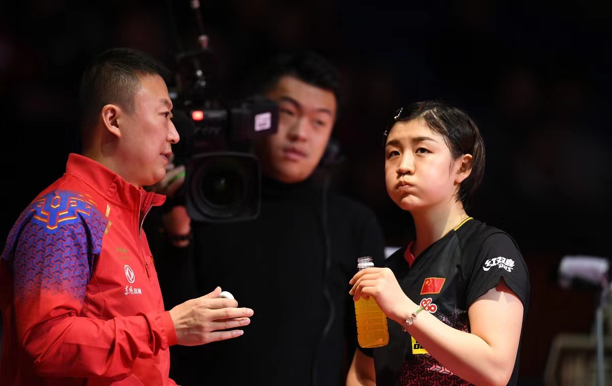 The WTT Championship is only 2 days away!Li Xun's successor may be born ...