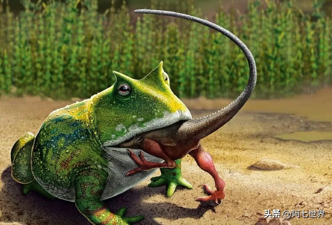 Prehistoric Giant Frog, the Largest Frog Ever Lived, Feeds on Dinosaurs ...