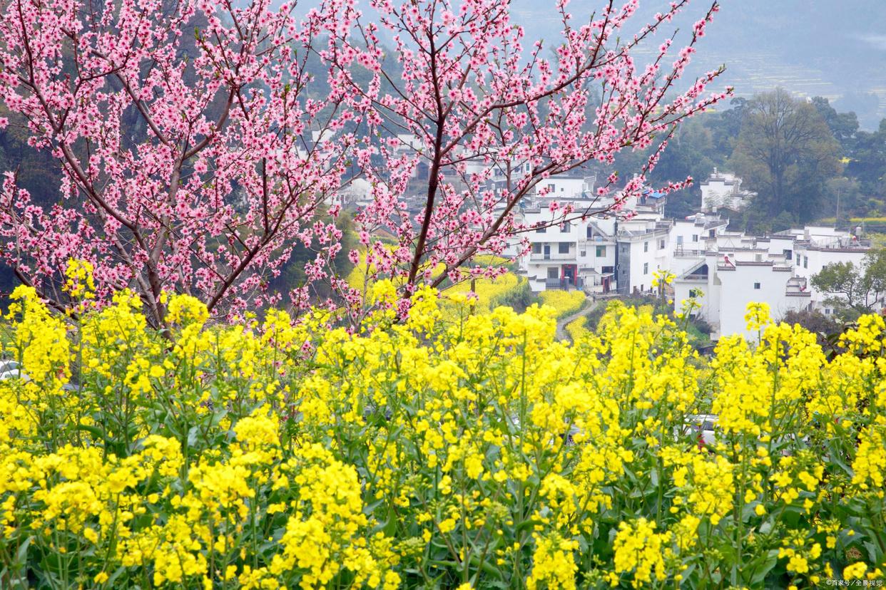 As strong as the Huizhou government, it still cannot escape the fate of ...