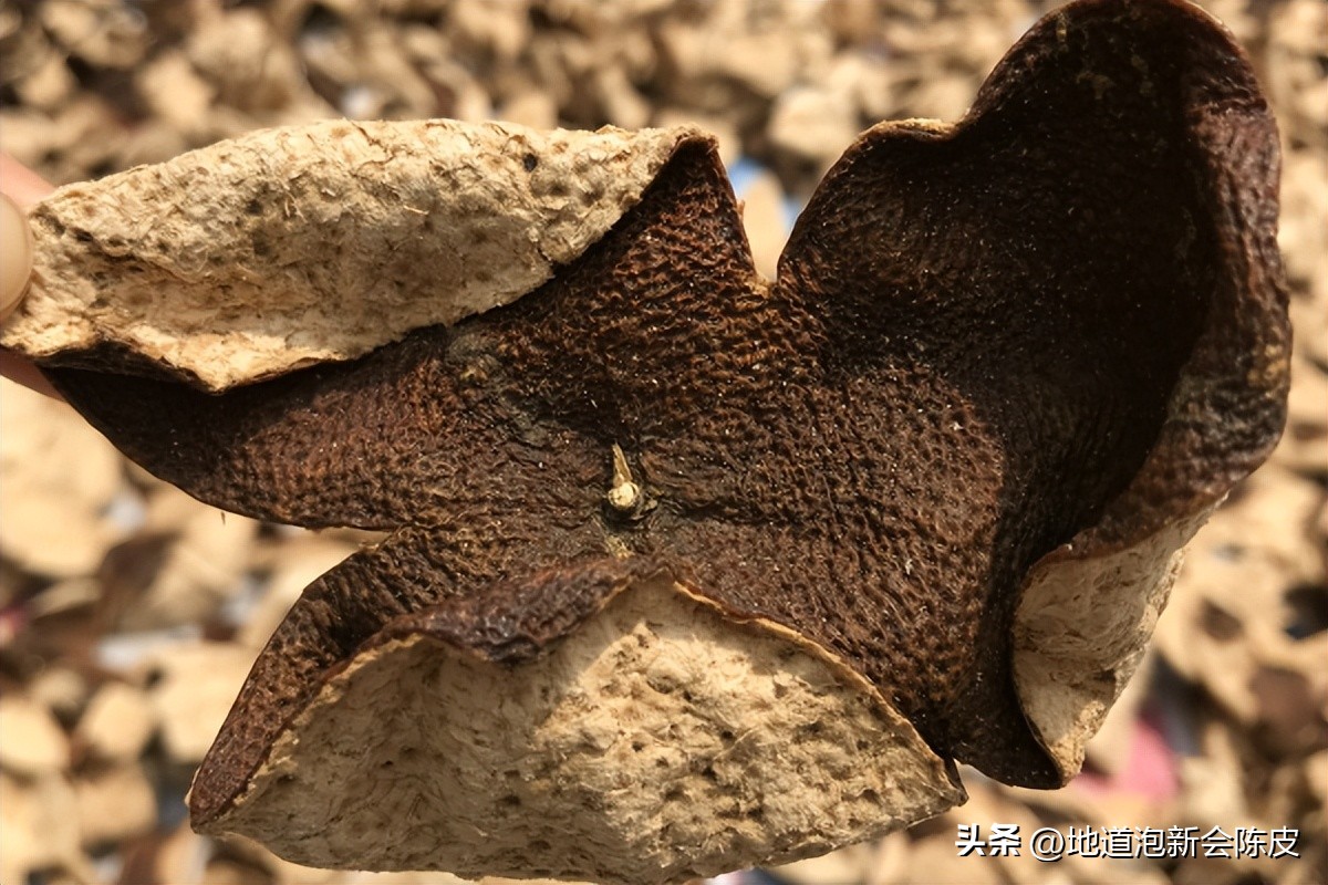 What is Xinhui Chenpi? - iNEWS