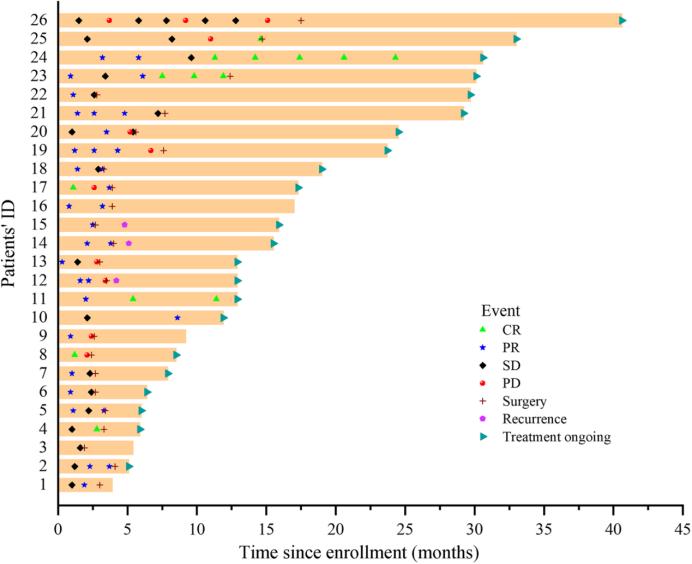 Real-world data from a single center for conversion therapy of 26 ...