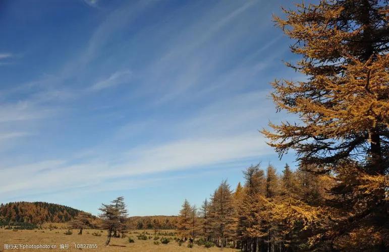 Linjiang Fairy Autumn - iNEWS