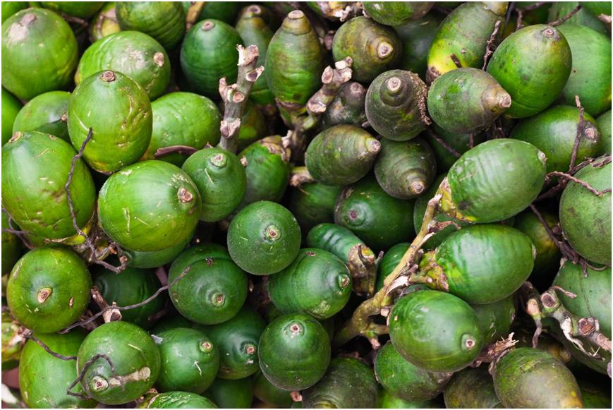 Betel nut culture, please rot and stink with wine table culture - iNEWS