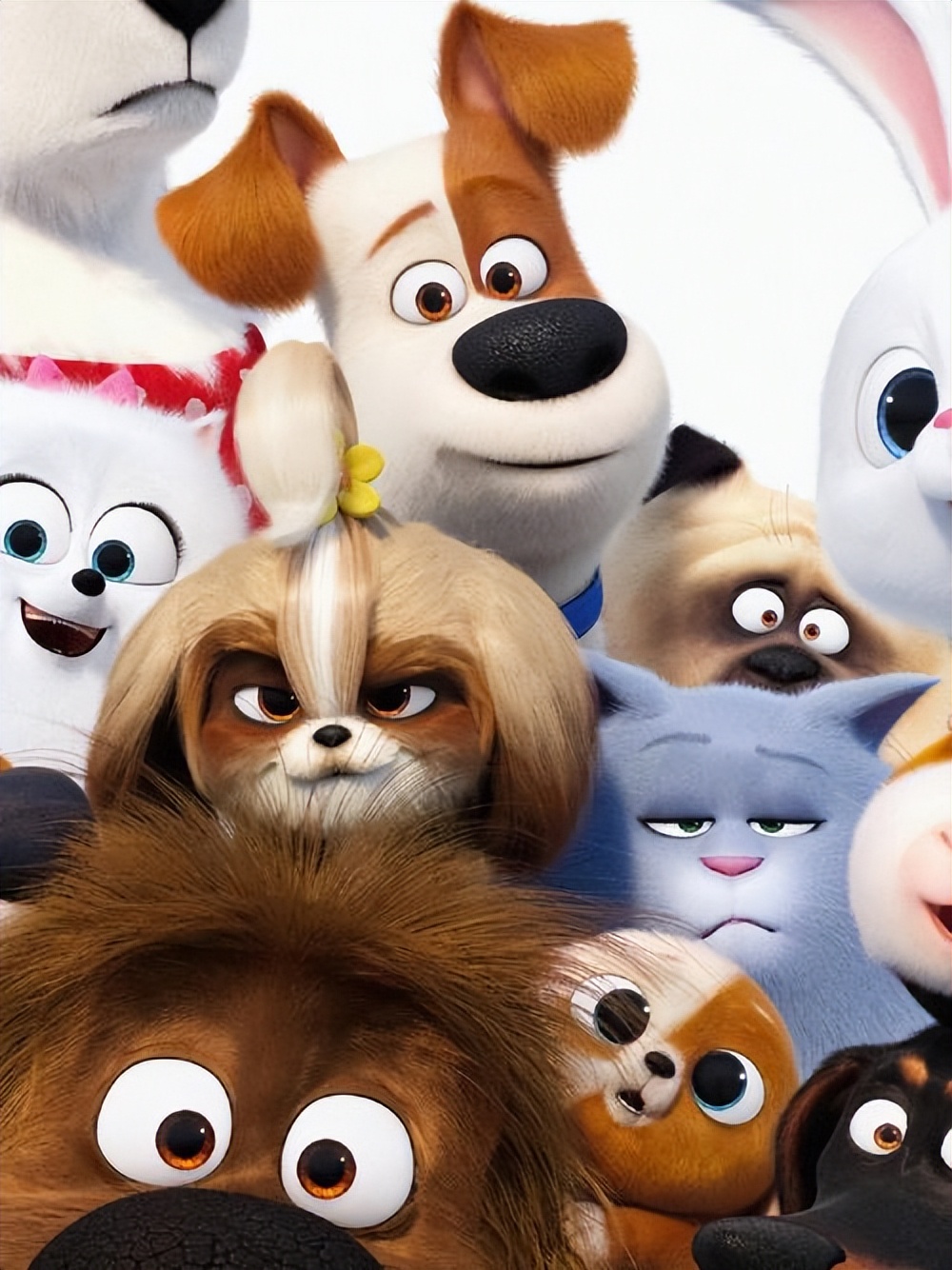 On the humanistic feelings contained in "The Secret Life of Pets" and ...