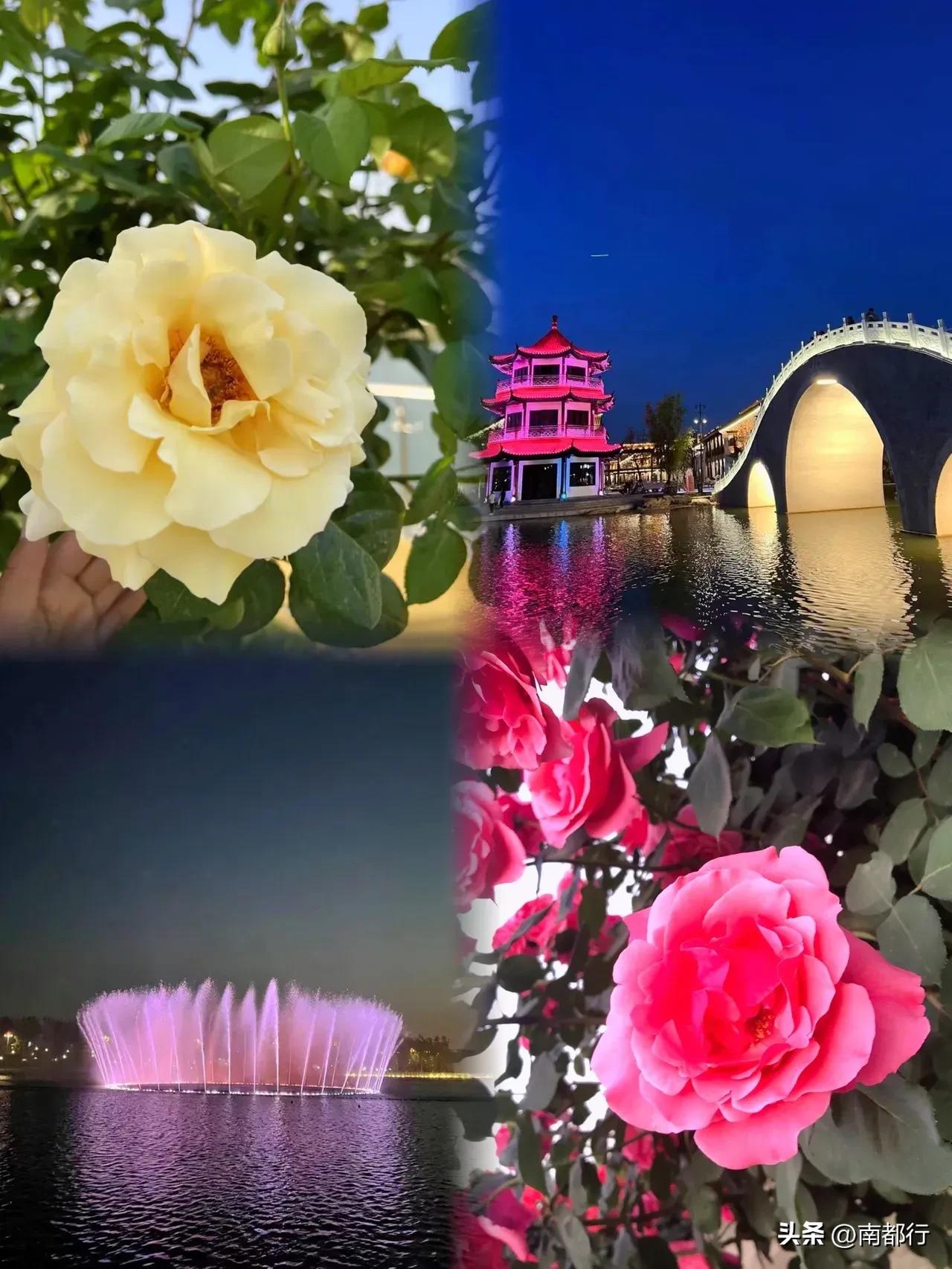 Go to Nanyang and go to a feast of stunning flowers! Nanyang World Rose ...