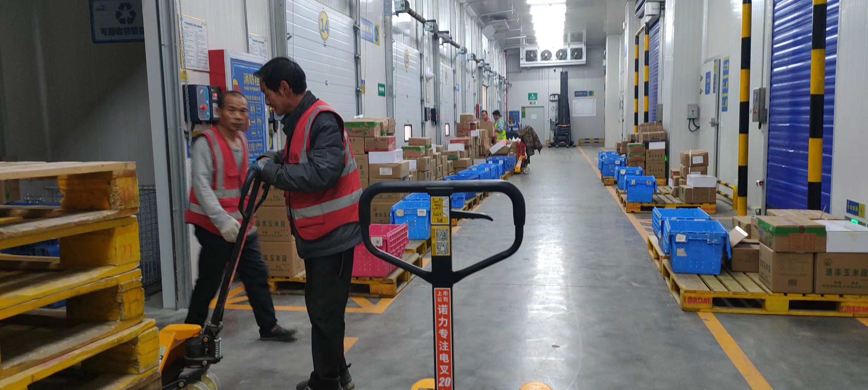 Build a high-standard cold storage, seize the "outlet" in advance, and ...