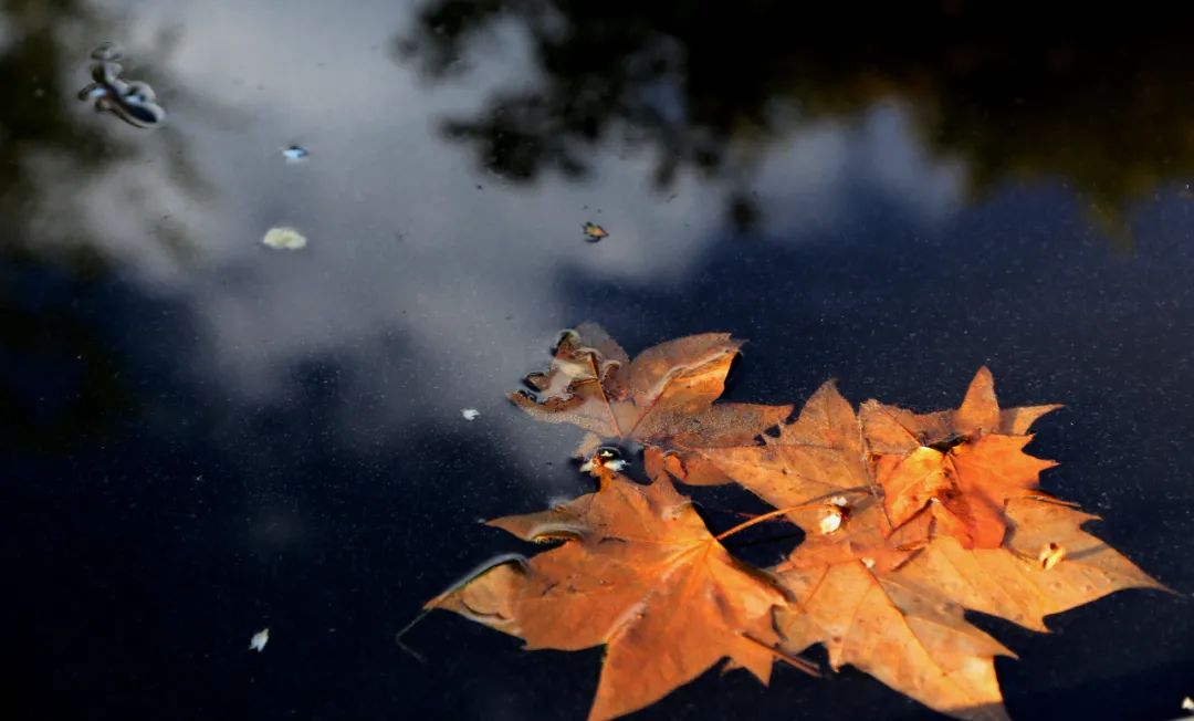 More than half of the year, hello autumn - iMedia