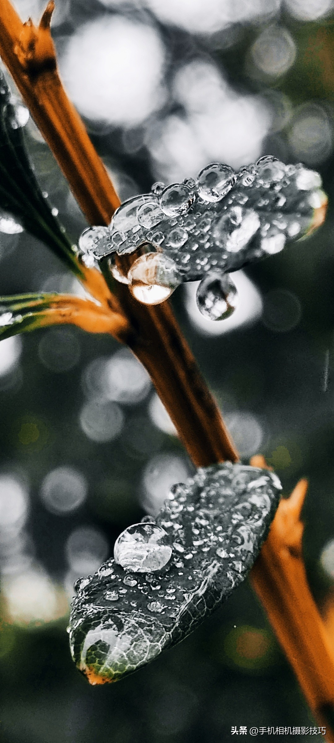 18 Good Photos Taken by Ordinary People - iNEWS