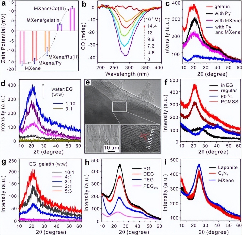 High-performance conductive organic hydrogel mediated by protein ...