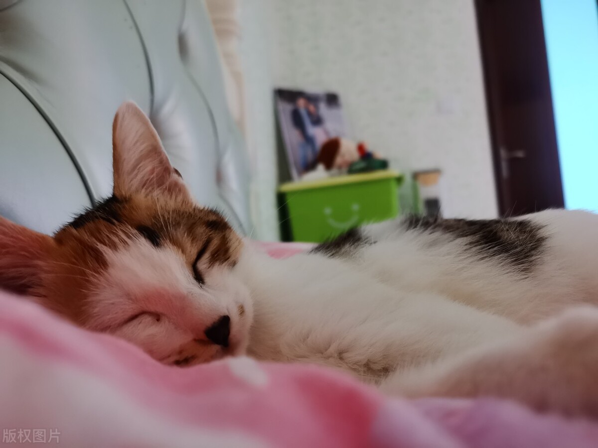 A WeChat group chat cures your AI anxiety - iNEWS