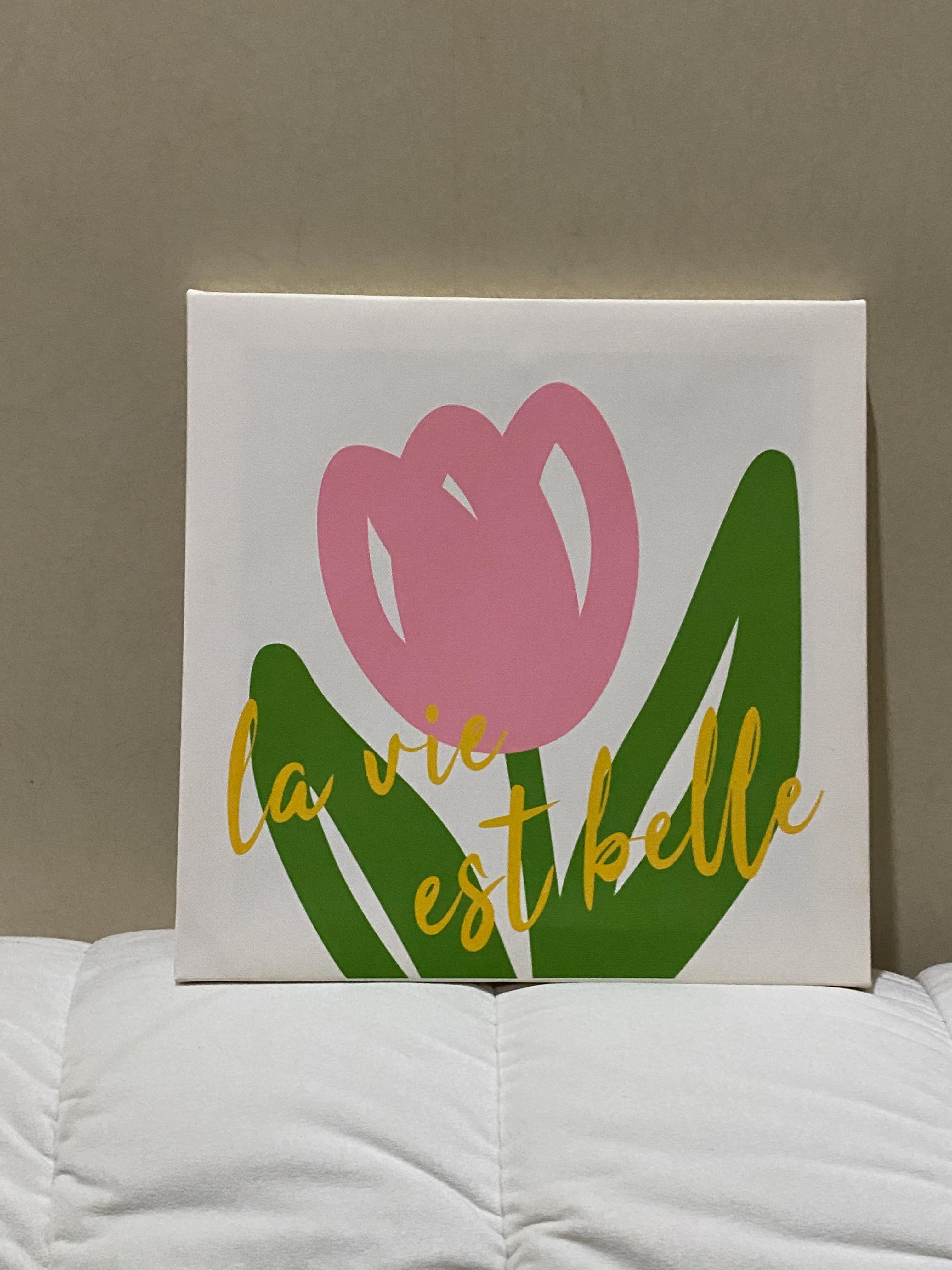 Beautiful ins style decorative painting!beauty cry - iNEWS