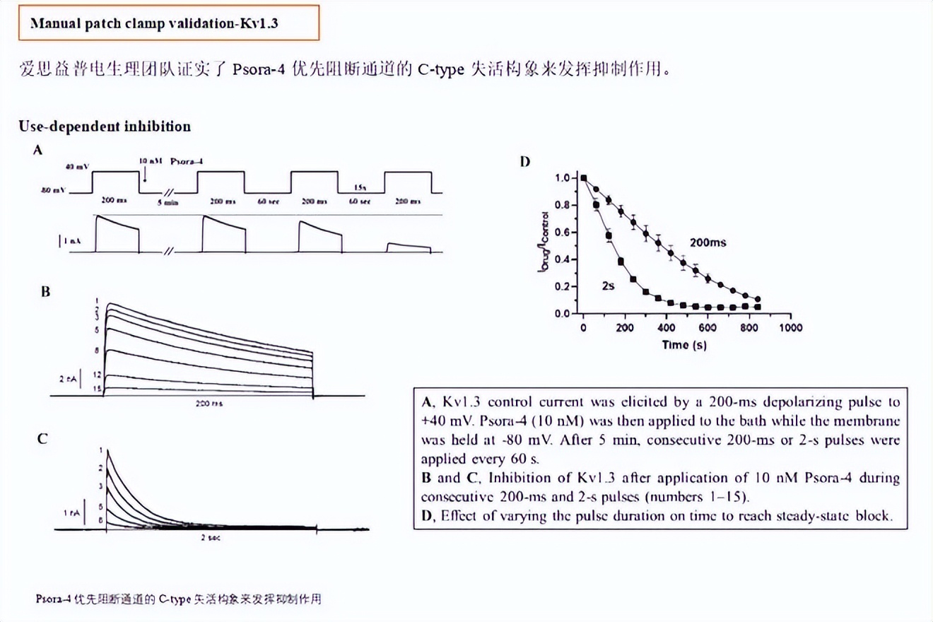 Ion Channel Service | Patch Clamp Detection | Patch Clamp Experiment ...