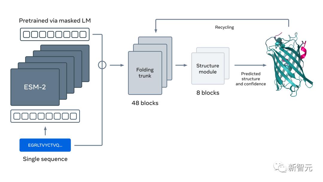 Meta allows the 15 billion parameter language model to design a new ...