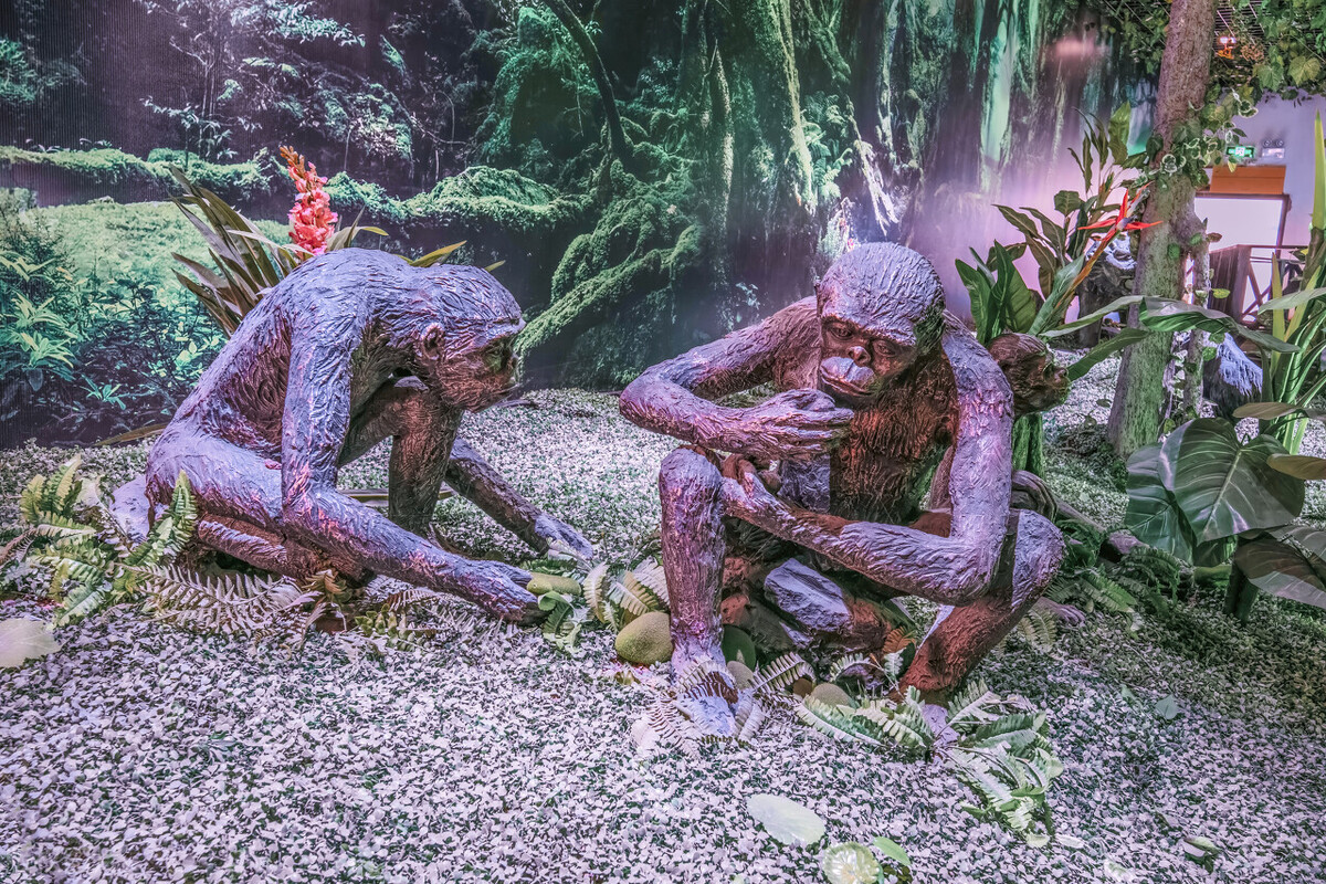 Do you know the story of Pangu's creation of the world?So where did our ...