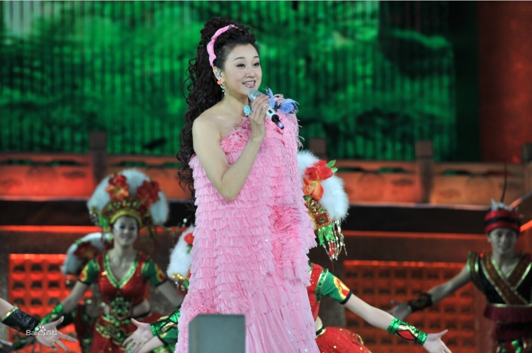 Song Zuying: I went to the Spring Festival Gala in 24 years and ...